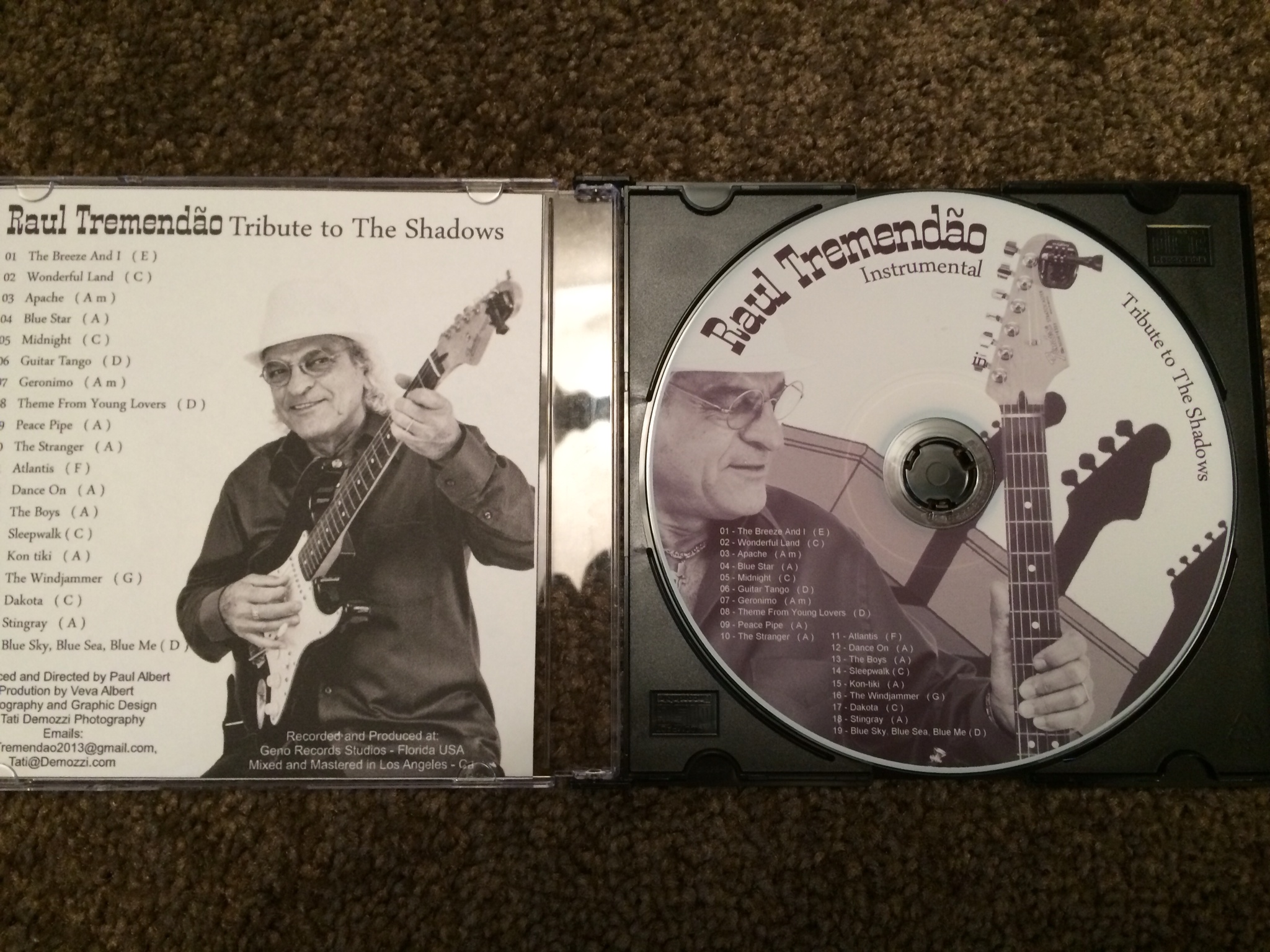 Raul Tremendão: Tribute to The Shadows - Raul Tremendão Official ...